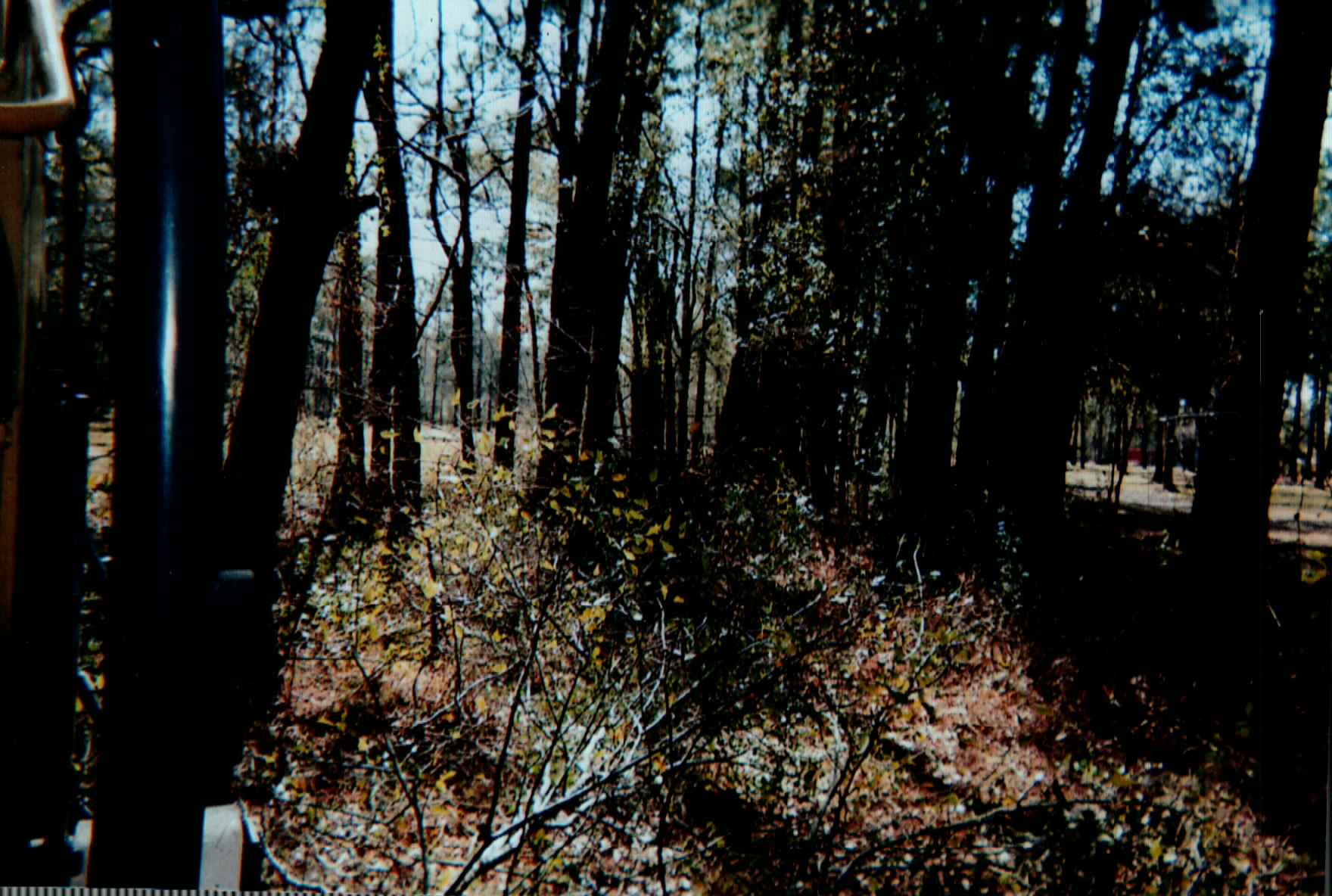 IMAG0006 – Sound Off Louisiana